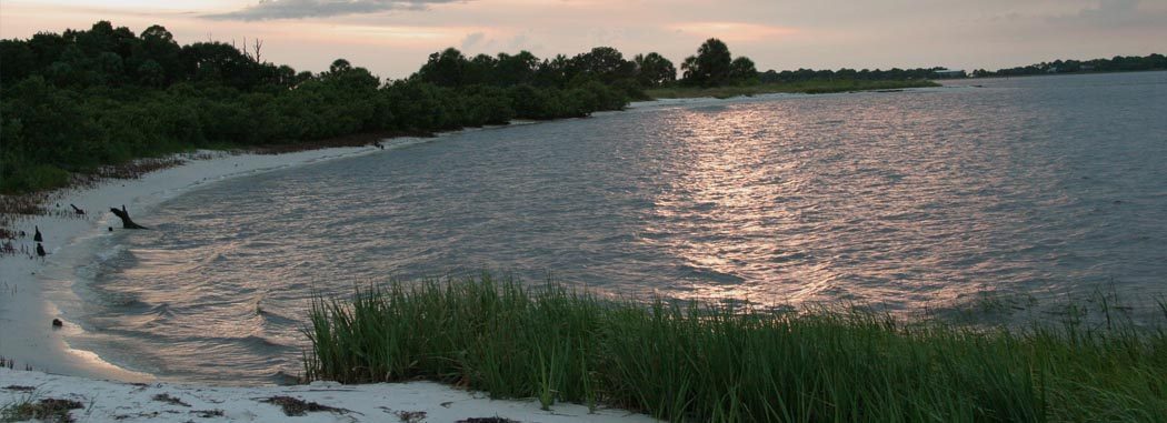 Explore Florida's Nature Coast | American Road Magazine