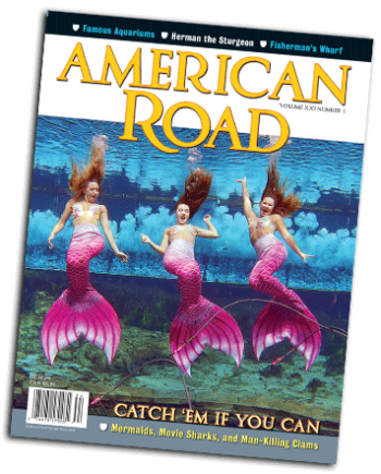 Road Trip Ideas Roadside Attractions Diners Motels Drive Ins Drive